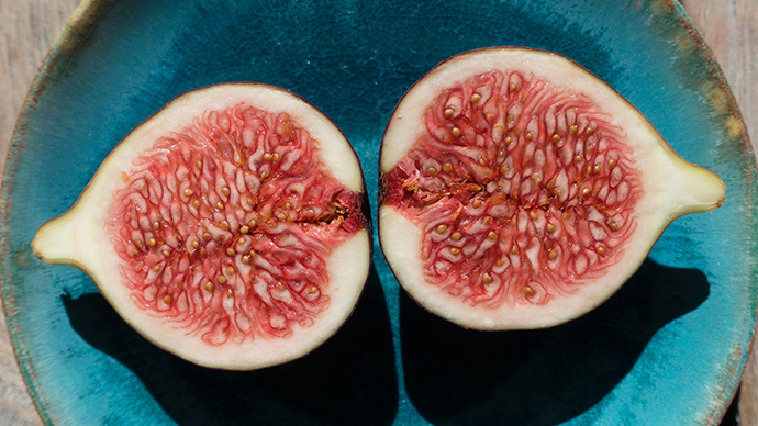 Soz, But There Are Dead Wasps In Your Figs