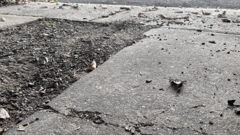 Bitumen Bandits Doing The Rounds Across Adelaide