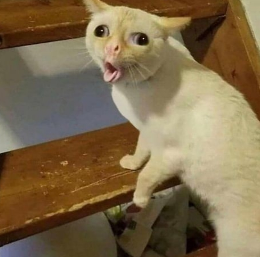 Thousands of ‘Penis Fish’ Wash Up On Beach Much To The Delight Of Locals