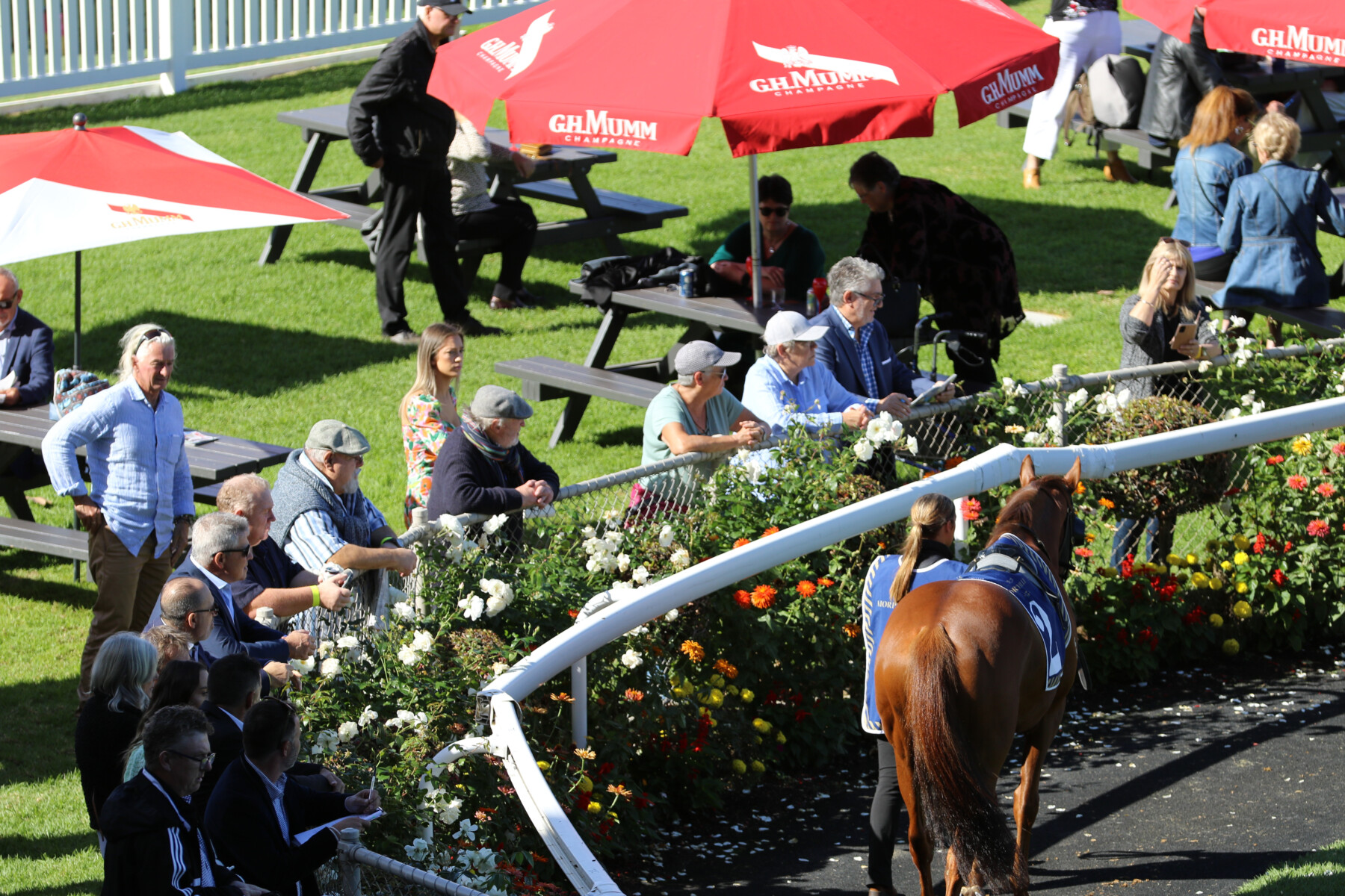 Here’s everything you need to know about AFL’s Gather Round