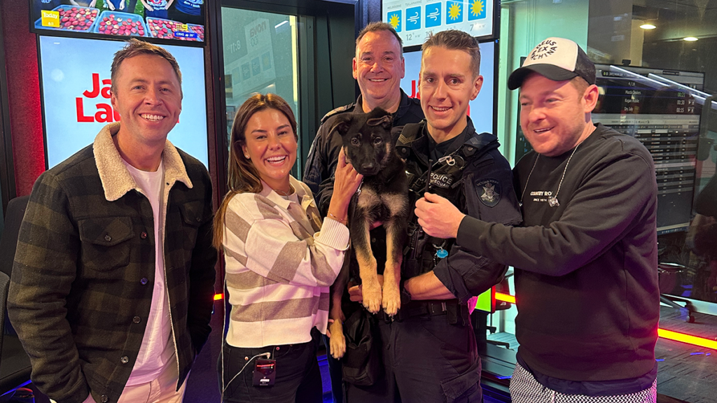 What Happens To Police Dogs When They Retire?